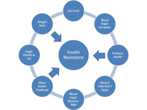 What is insulin resistance? Causes and symptoms!